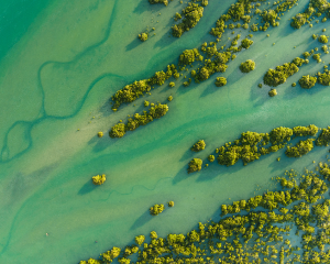 MSCI ESG Ratings and Cost of Capital - MSCI