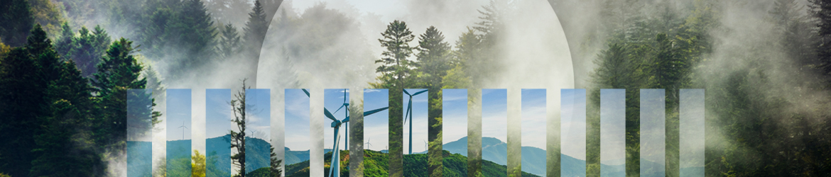 MSCI in practice: Unpacking the Net-Zero Asset Owner Alliance's target ...